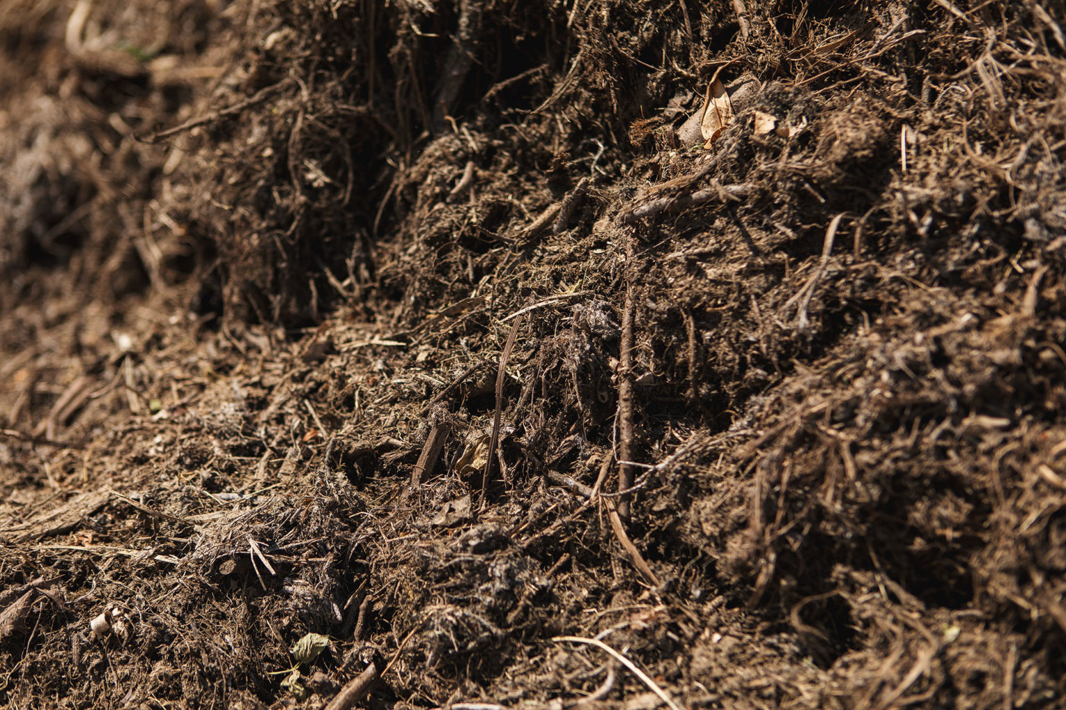 compost - The Green Waste Company